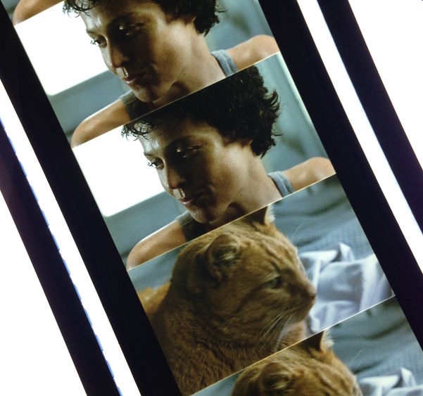 70mm - Sprocket School